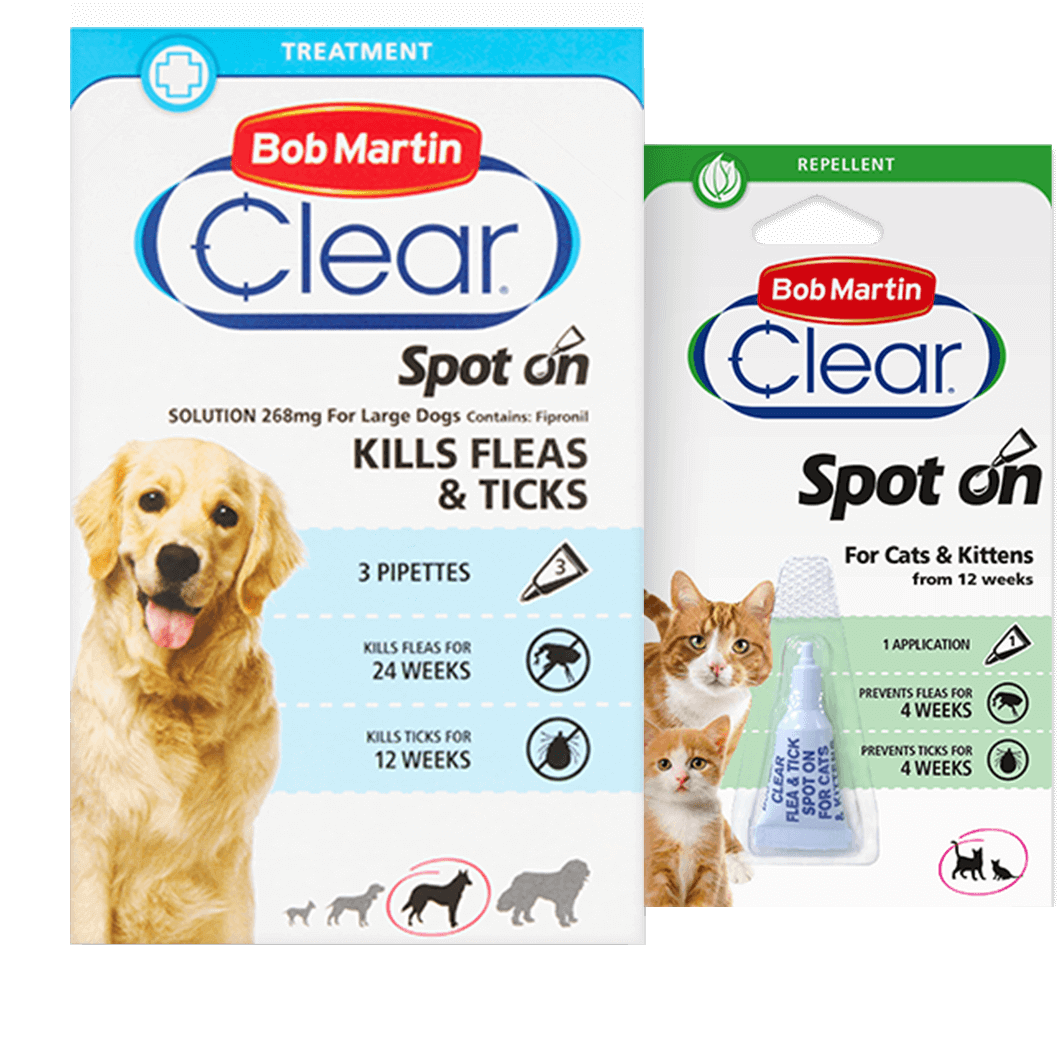 Bob Martin | Caring for your pets and ours since 1892