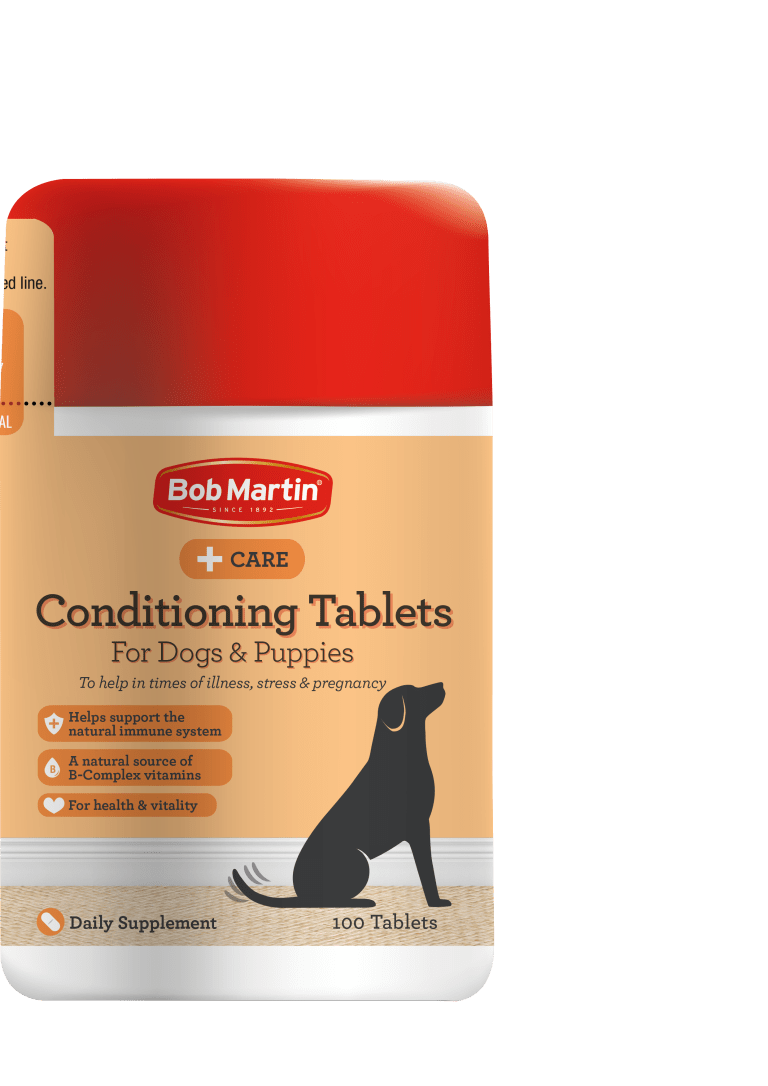Bob Martin Conditioning Tablets for Dogs - 100 Tablets - Bob Martin