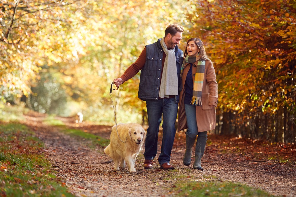7 of The Most Romantic Dog Walks In The UK - Bob Martin